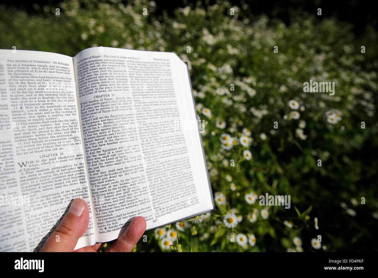 Bible and nature hi-res stock photography and images - Alamy