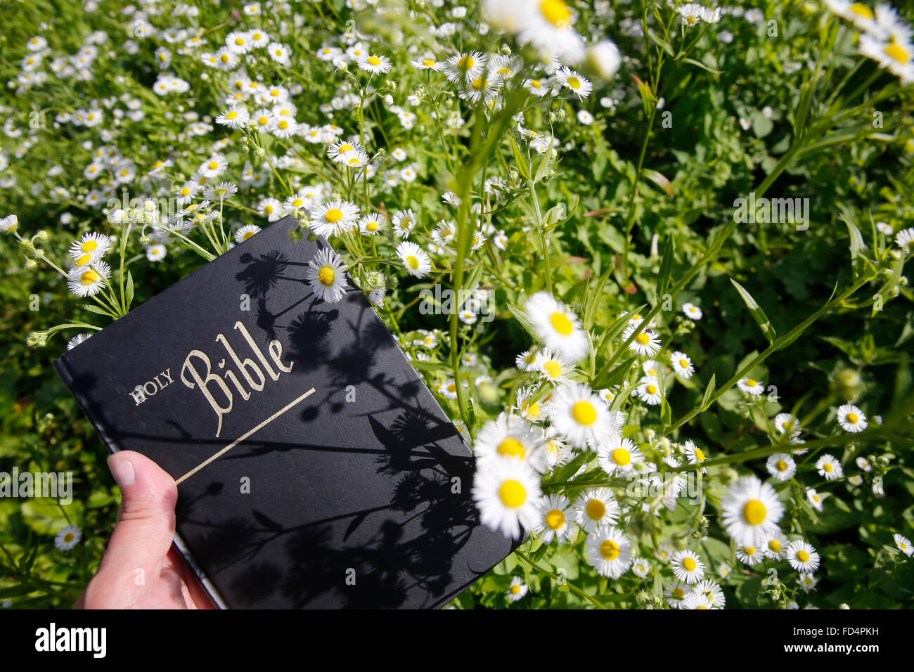 Flowers with bible hi-res stock photography and images - Alamy