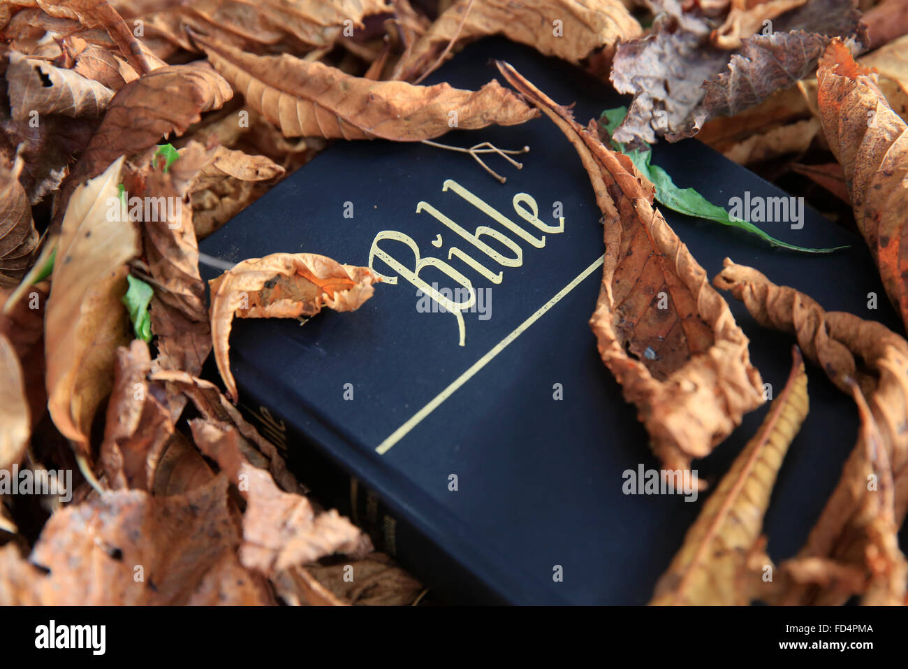 The holy bible hi-res stock photography and images - Alamy