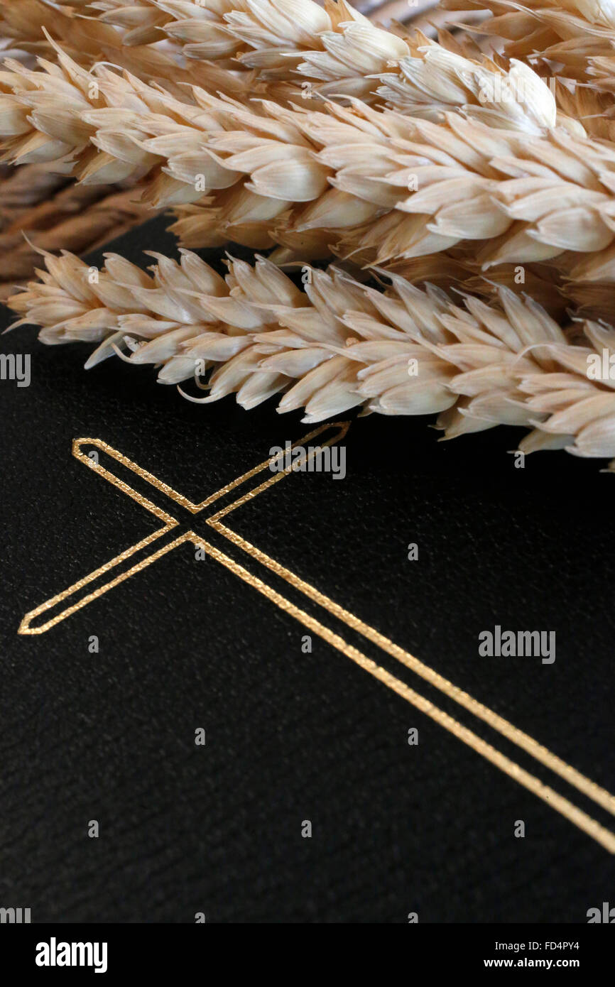Holy Bible and wheat Stock Photo - Alamy