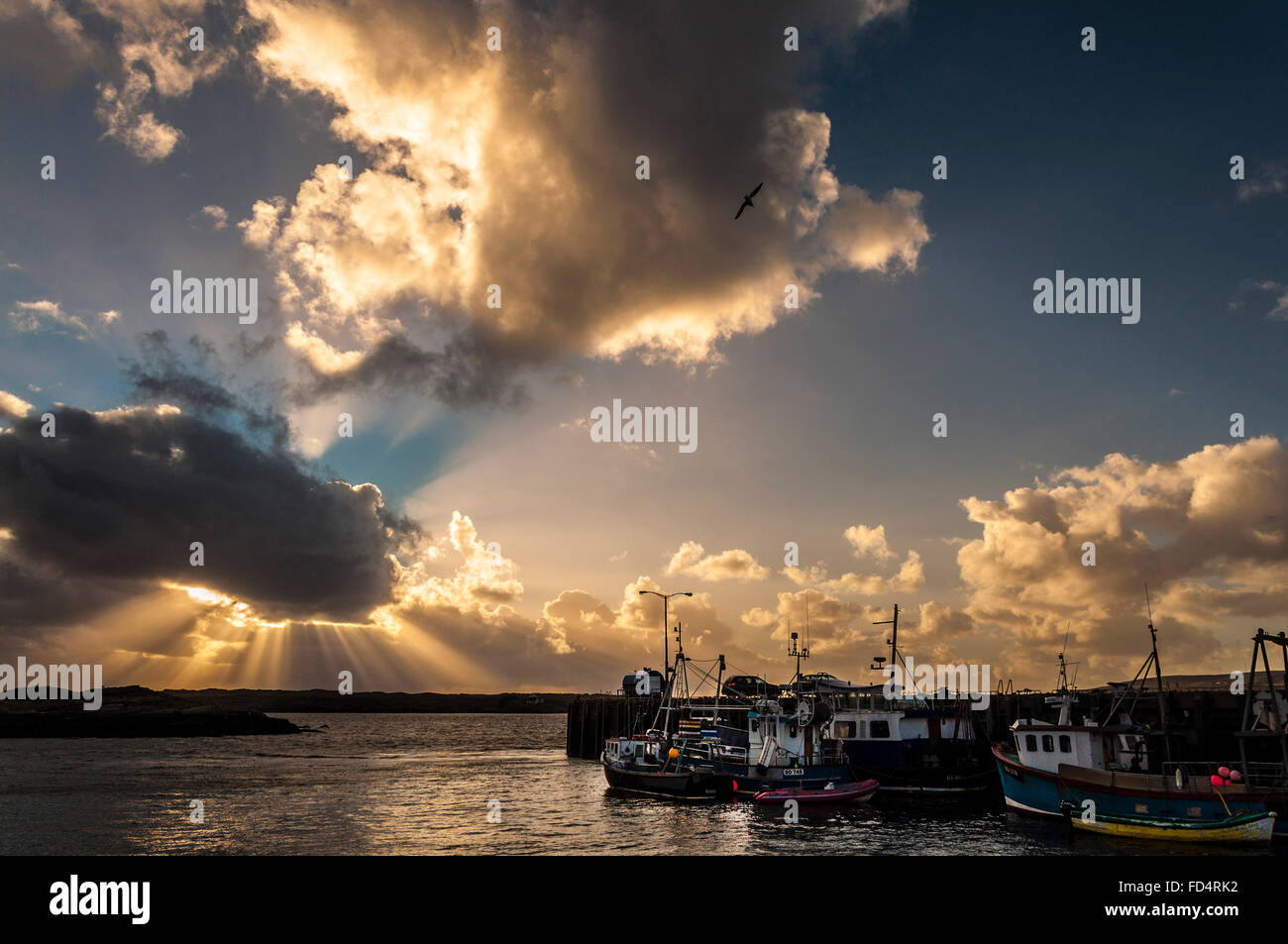 Burtonport Harbour in County Donegal Ireland Stock Photo - Alamy