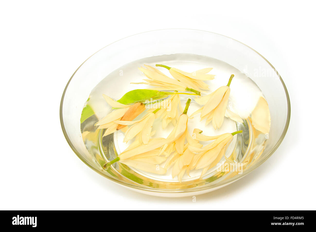 Champaka flower hi-res stock photography and images - Alamy