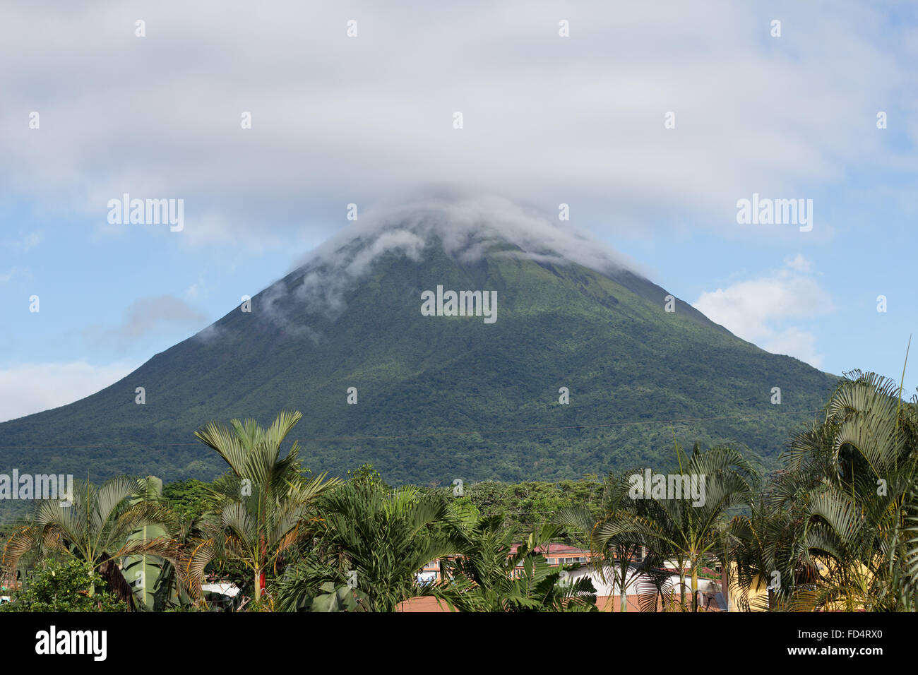 Tropical mountain climate hi-res stock photography and images - Alamy