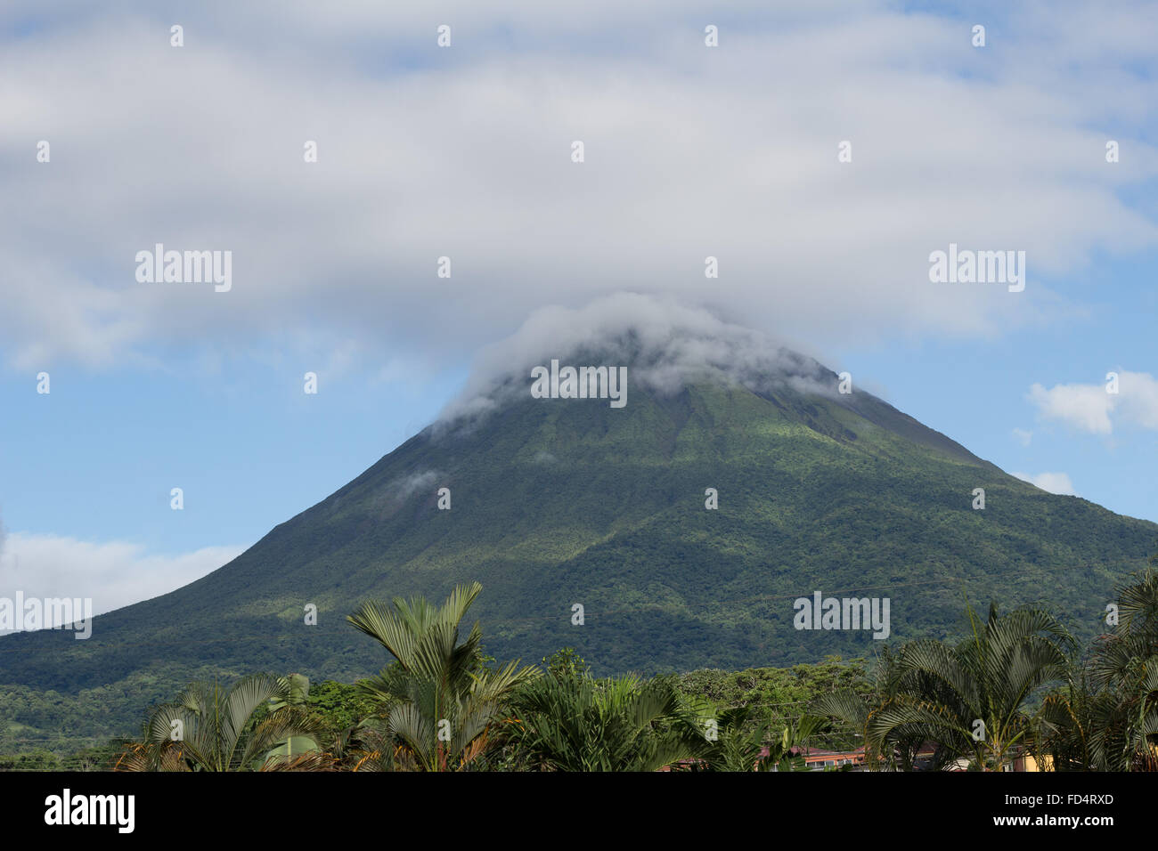 Tropical Mountain Climate High Resolution Stock Photography and Images ...