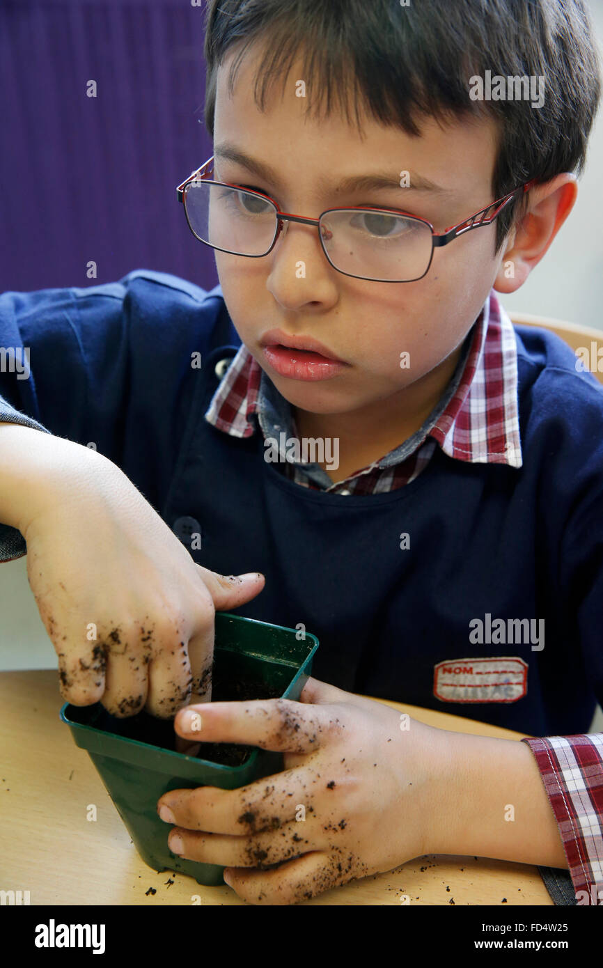 Child filling a pot with earth Stock Photo - Alamy