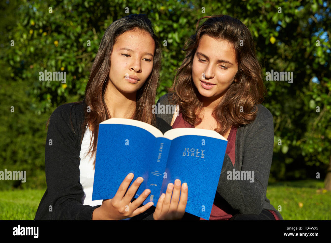 Teenagers reading a Bible Stock Photo - Alamy