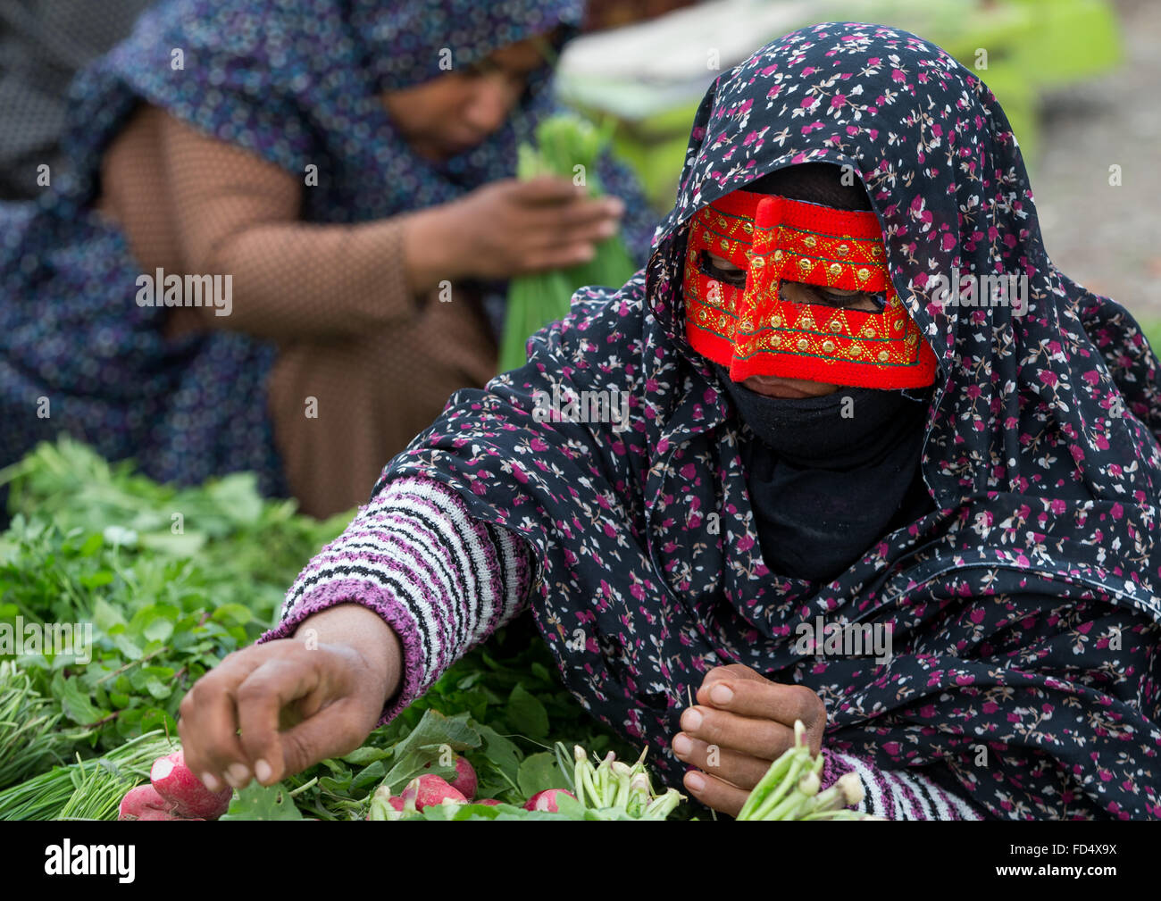 Iran034i2597 hi-res stock photography and images - Alamy