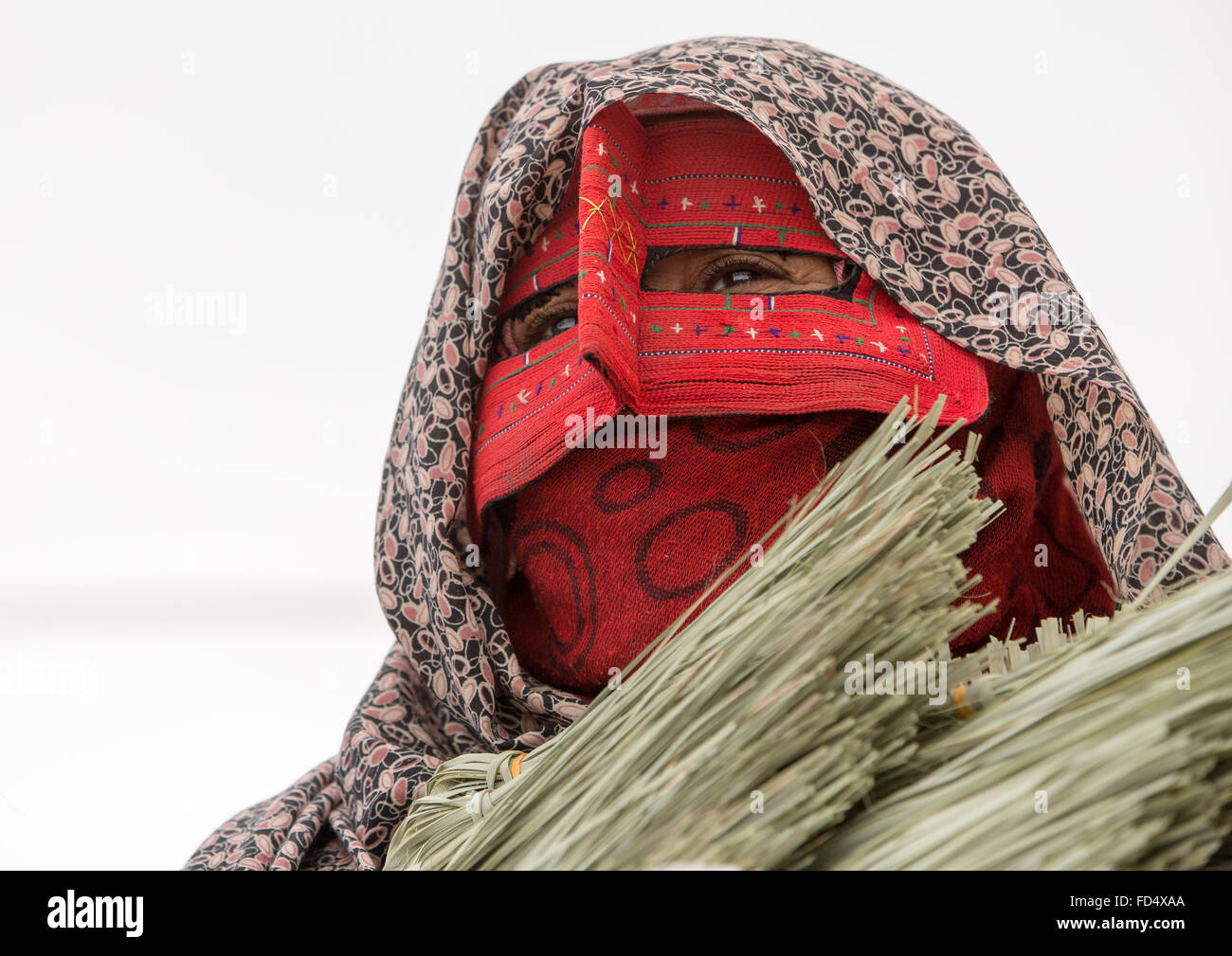 a bandari woman wearing a traditional mask called the burqa at ...