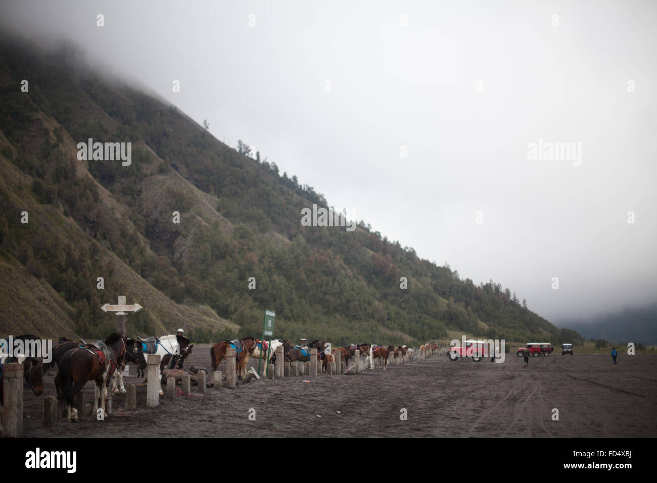 Grass track and road racing hi-res stock photography and images - Alamy