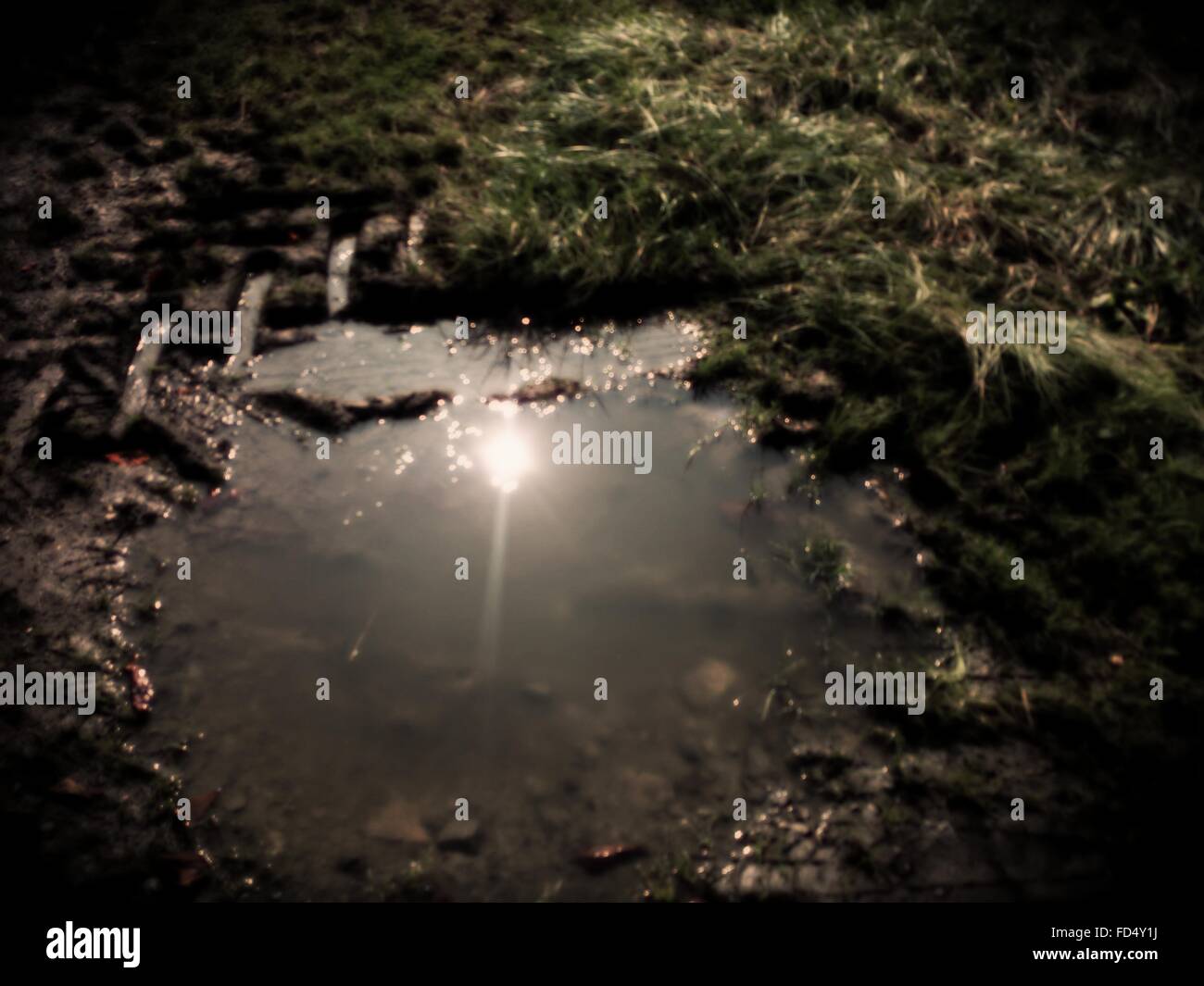 Reflection sun on puddle field hi-res stock photography and images - Alamy