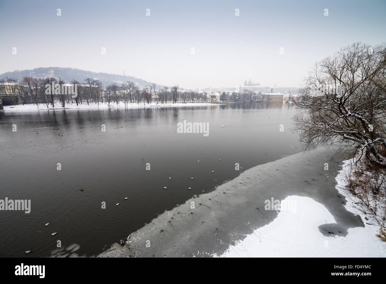 River Moldau with Prague Castle and St. Vitus Cathedral in background ...