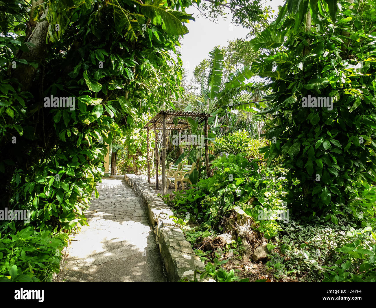 Luxuriant hi-res stock photography and images - Alamy