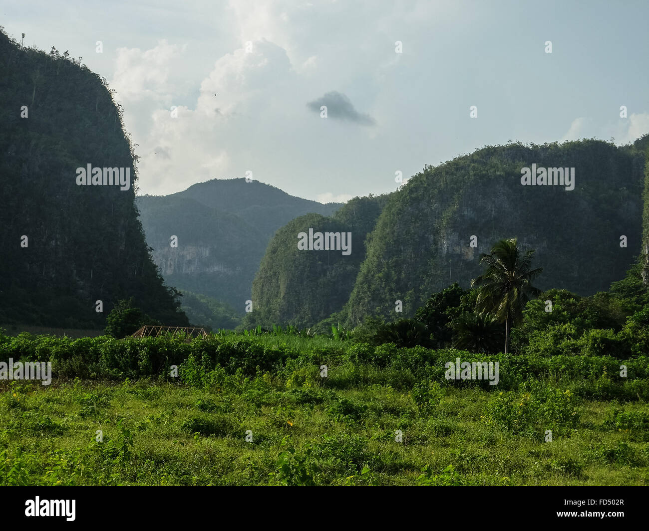 Wooded range hi-res stock photography and images - Alamy