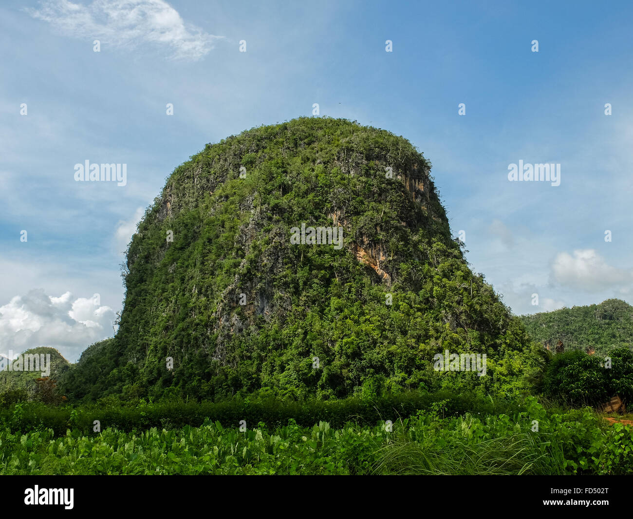 Flattop Wooded Mountain Stock Photo - Alamy