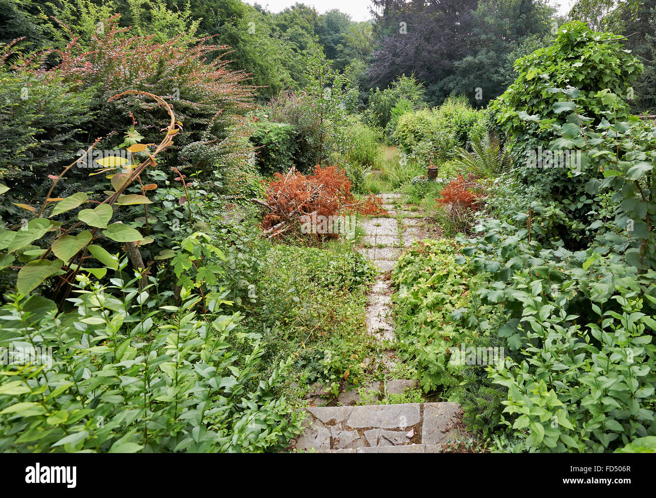 Abandoned house wild garden hi-res stock photography and images - Alamy