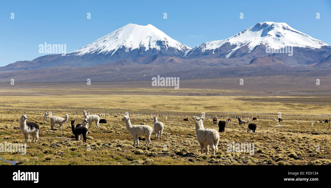 landscape of the Andes Mountains, with snow-covered volcano in the ...