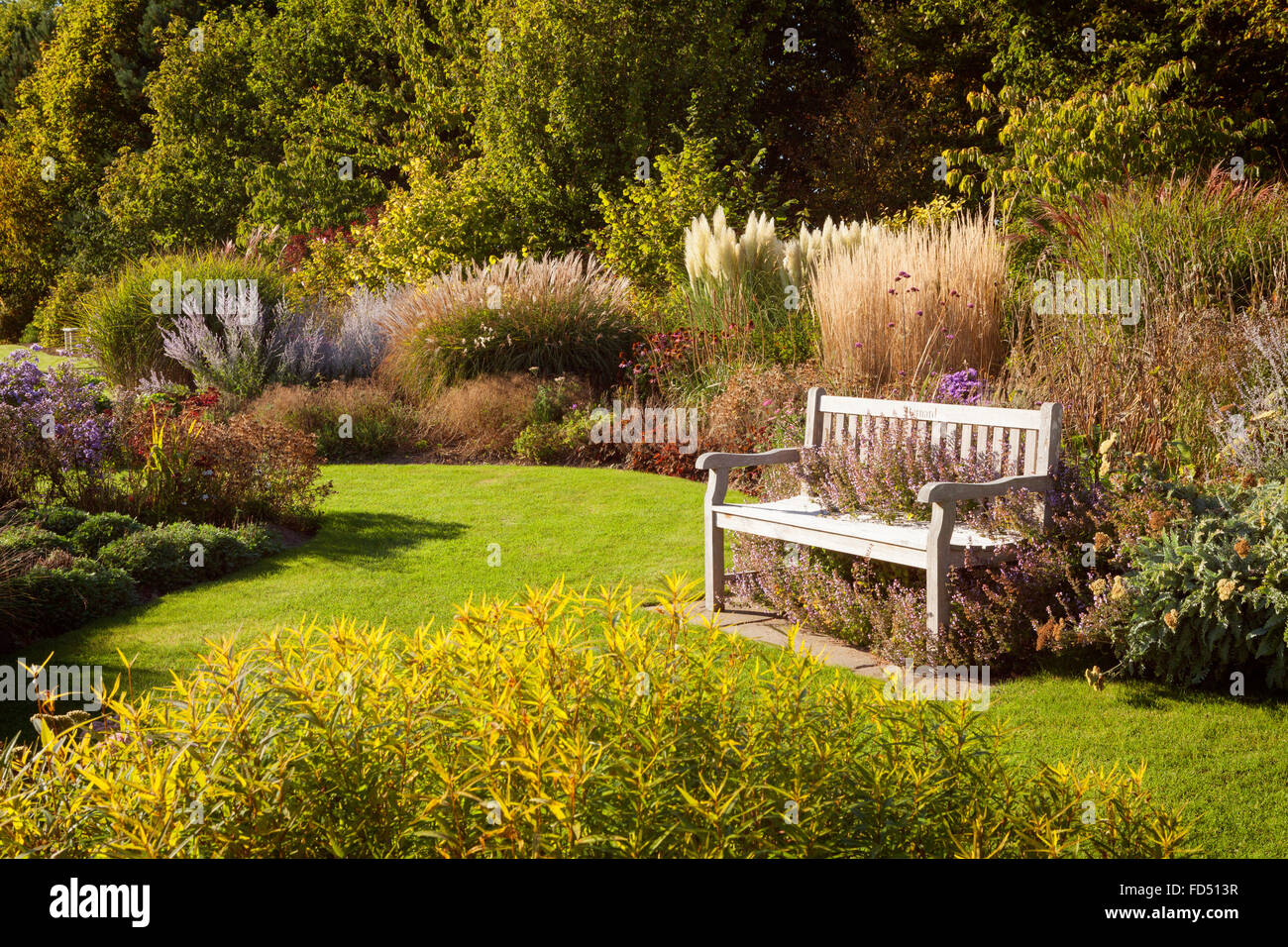 A wooden bench in the Prairie Borders, which feature grasses and Aster ...