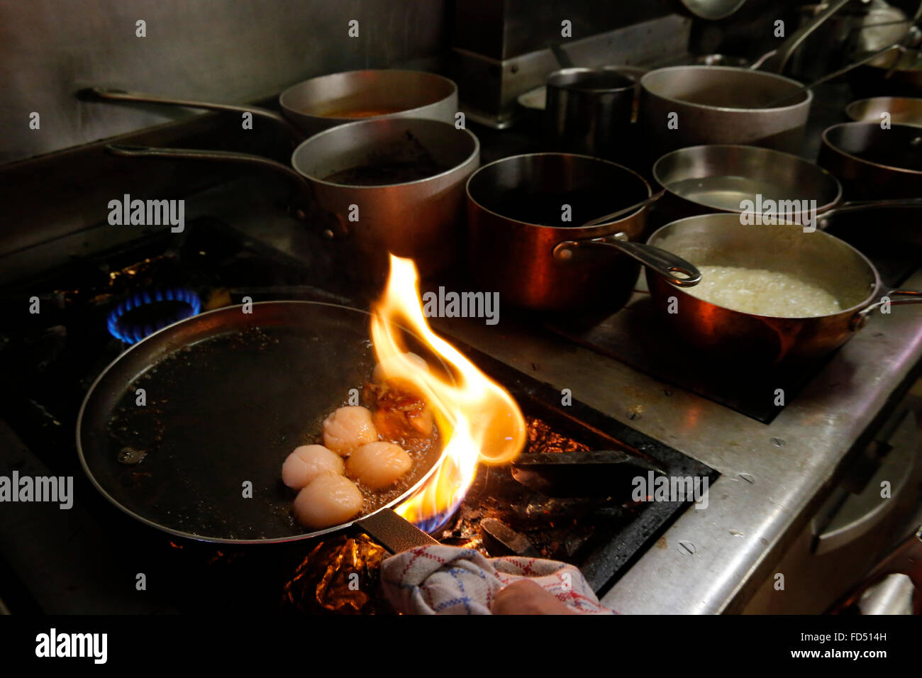 Scollop hi-res stock photography and images - Alamy