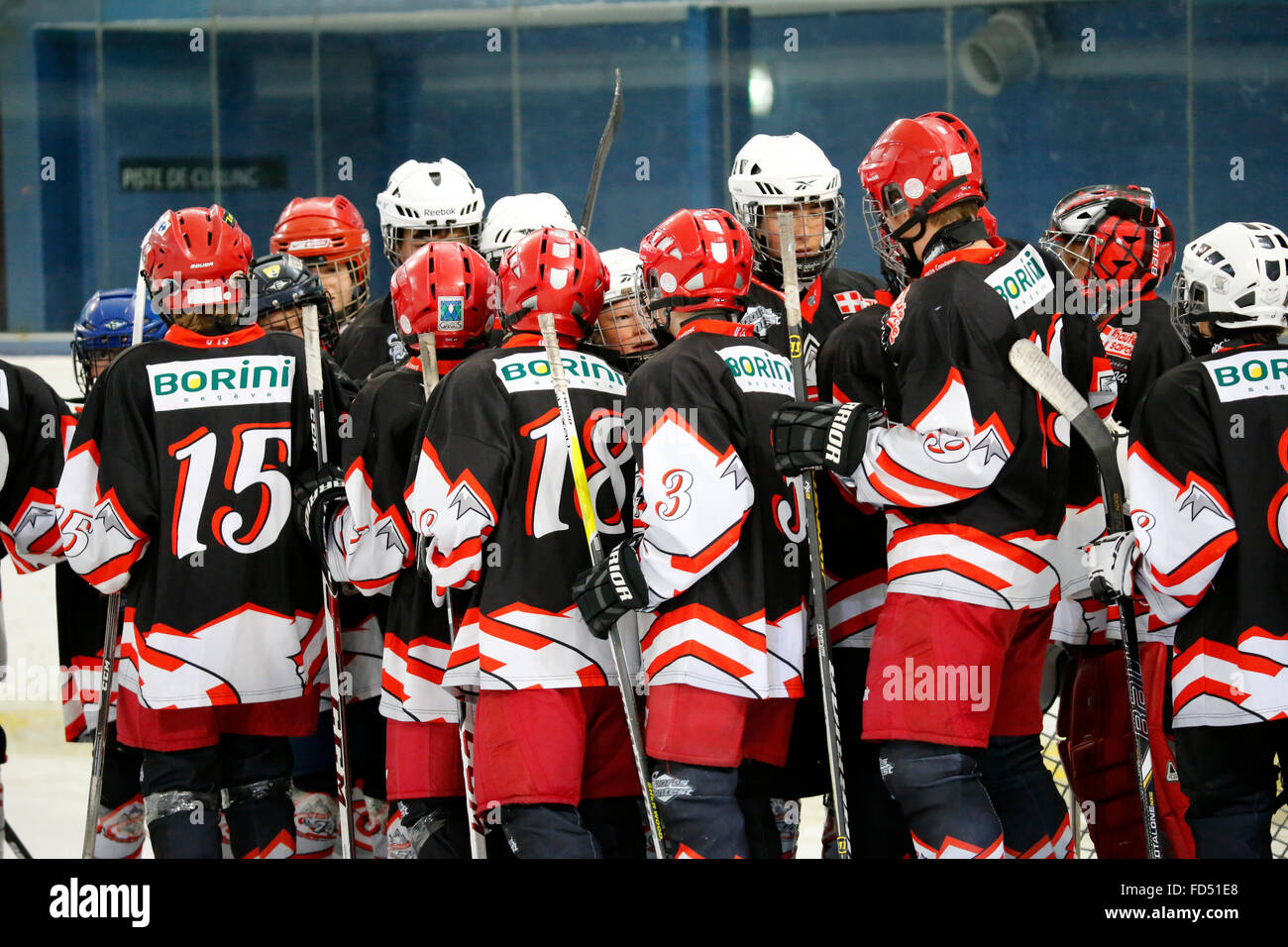 Ice hockey team Stock Photo - Alamy