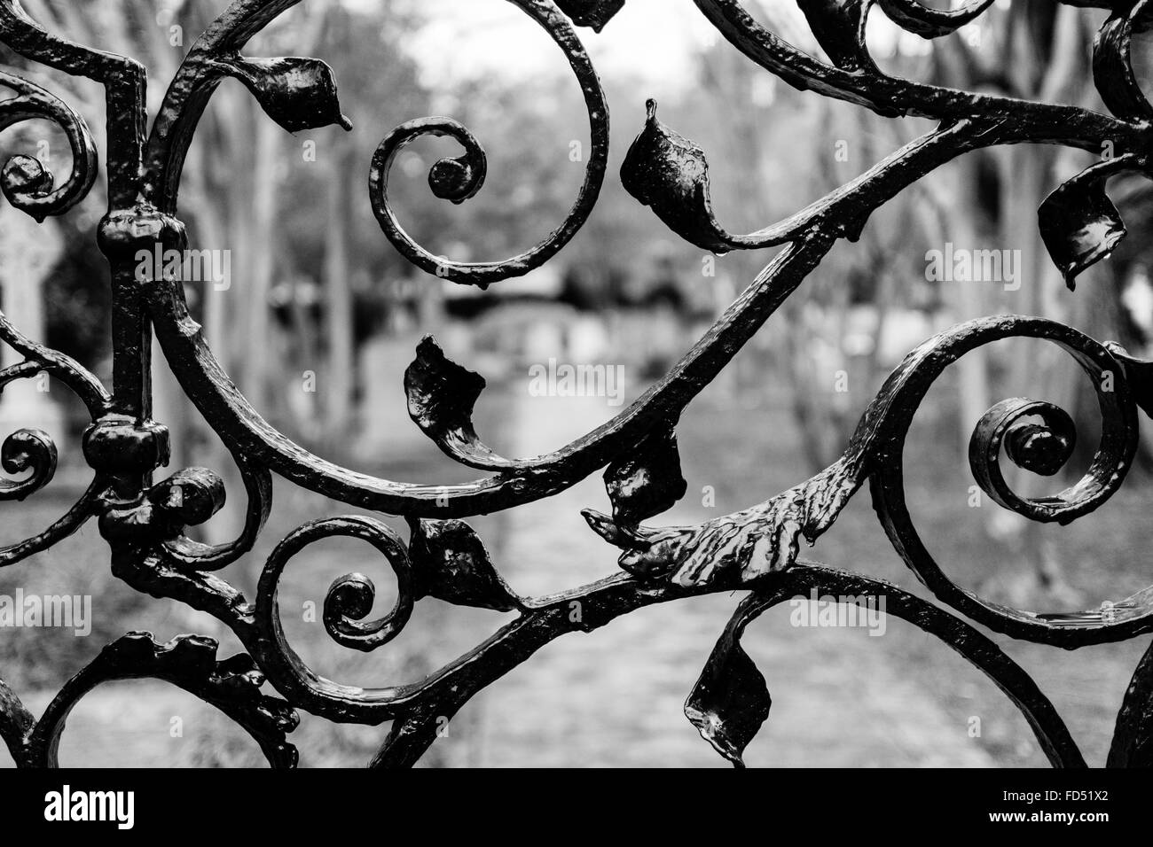 Looking Through the Gate Stock Photo - Alamy