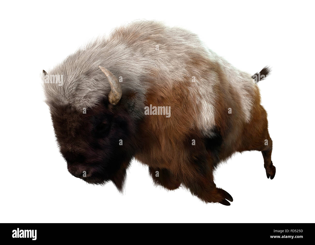 3D digital render of an American bison isolated on white background ...
