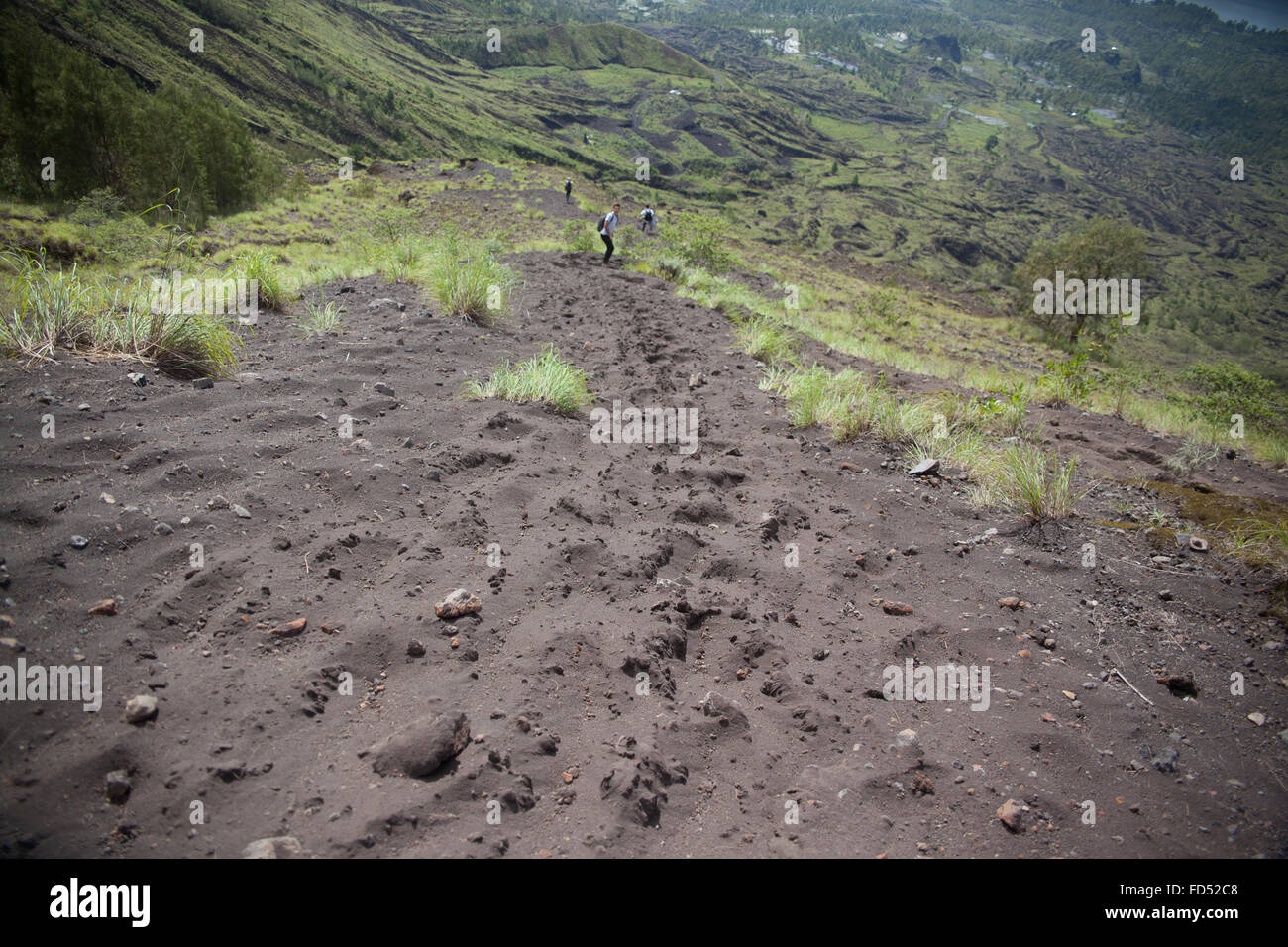 Grass and mud terrain hi-res stock photography and images - Alamy