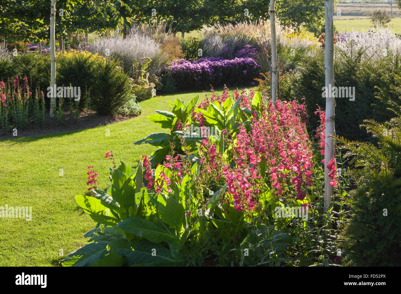 The Prairie Borders featuring Penstemon. Brightwater Gardens, Saxby ...
