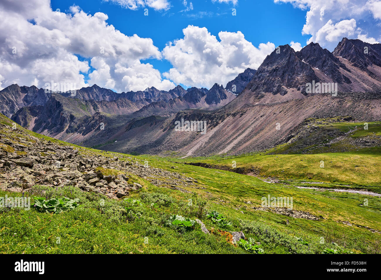 Mountain tundra ridge. Eastern Sayan . Buryatia Stock Photo - Alamy