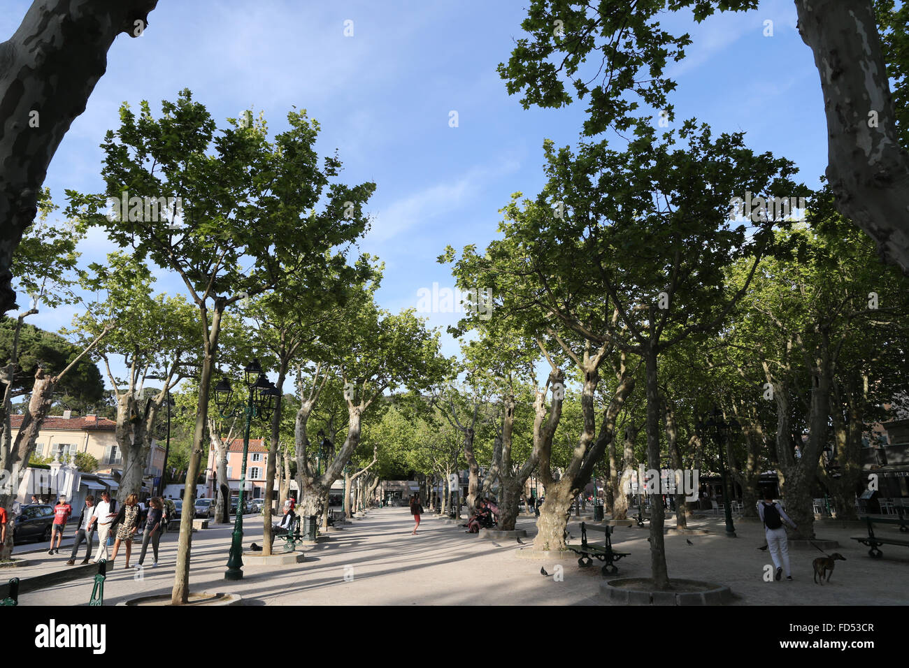 Saint tropez place des lices hi-res stock photography and images - Alamy