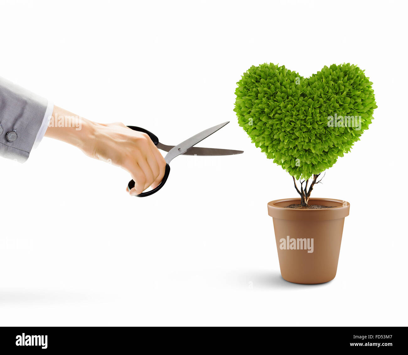 Image human hand cutting leaves hi-res stock photography and images - Alamy