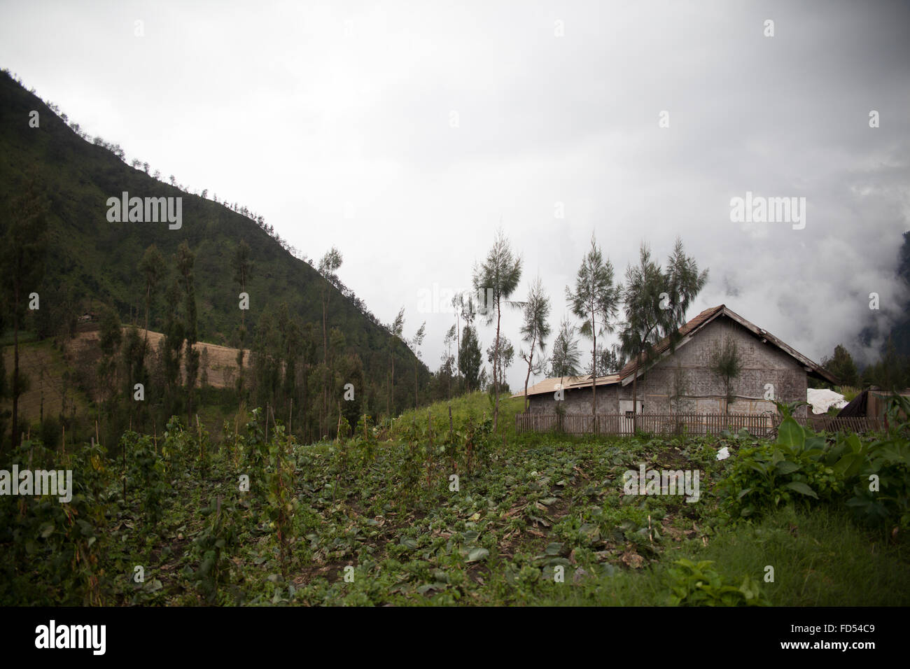 Exterior Of House In Field Against Mountains Stock Photo - Alamy