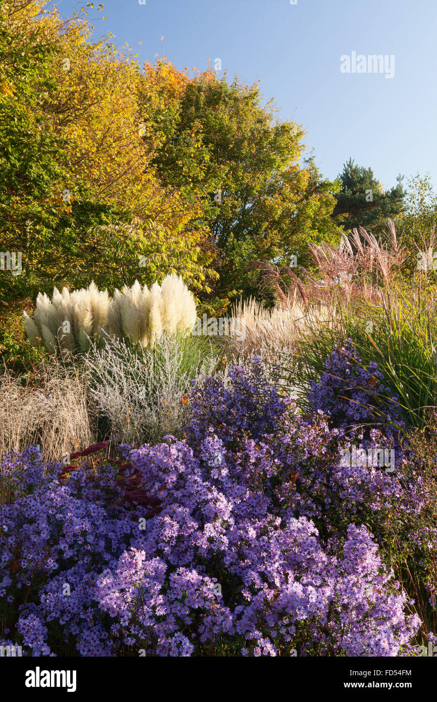 The Prairie Borders, featuring Aster and grasses. Brightwater Gardens ...