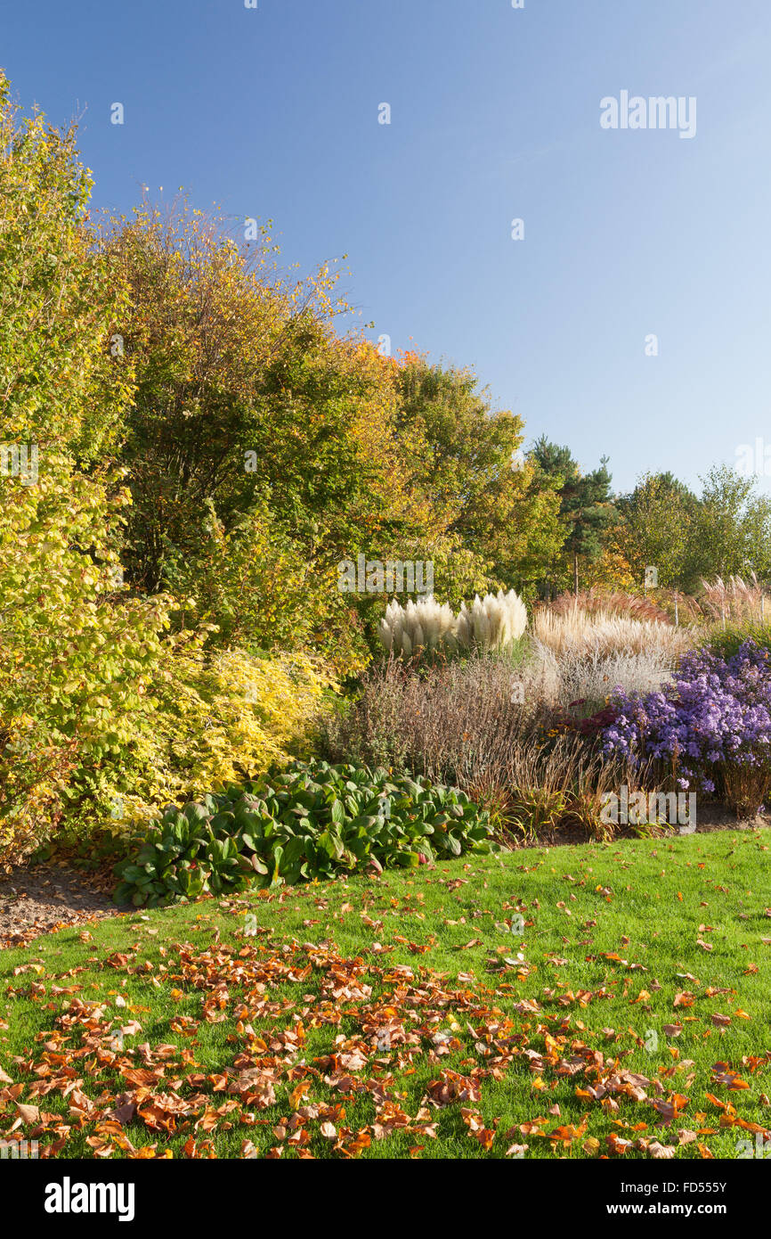 The Prairie Borders, featuring Aster and grasses. Brightwater Gardens ...