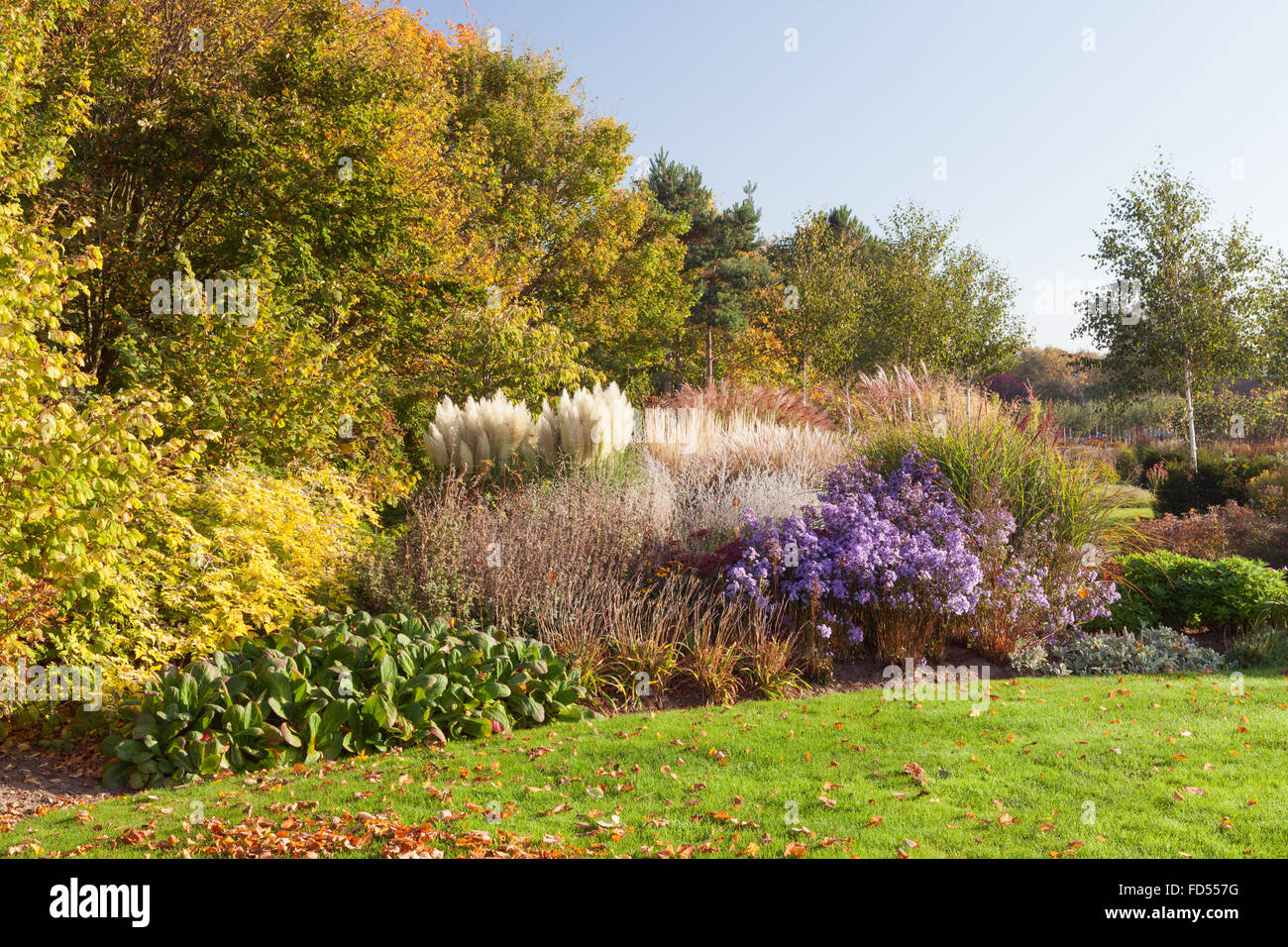 The Prairie Borders, featuring Aster and grasses. Brightwater Gardens ...
