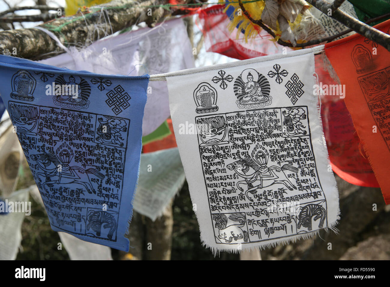 Tibetan prayer flags Stock Photo - Alamy