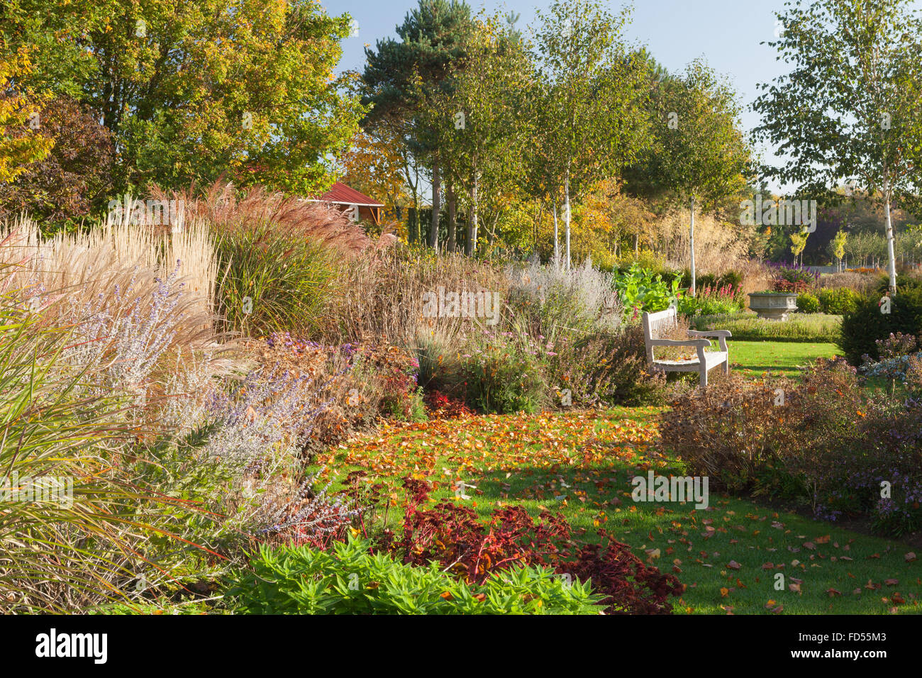 A wooden bench in the Prairie Borders, which feature grasses and Aster ...
