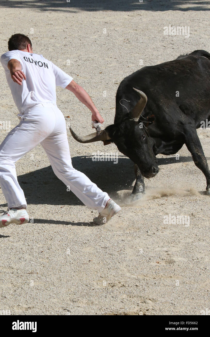 Sport bullfight hi-res stock photography and images - Alamy