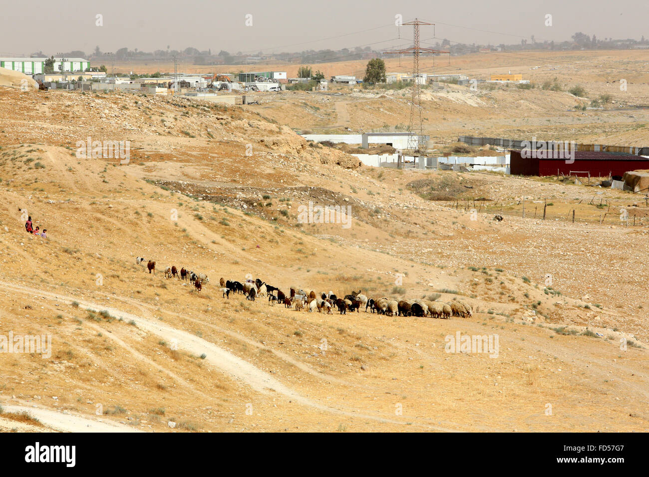 Israel and shepherd hi-res stock photography and images - Alamy