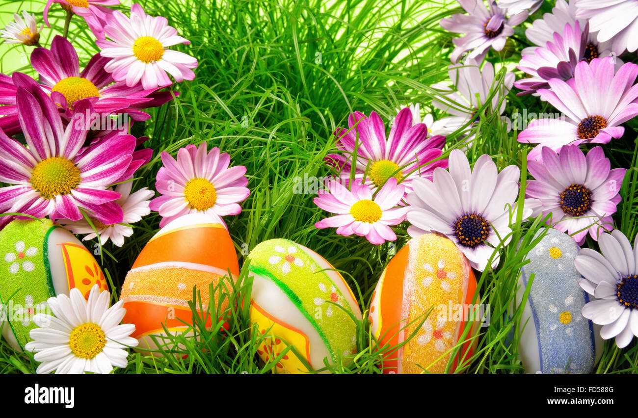 Easter garden plants hi-res stock photography and images - Alamy