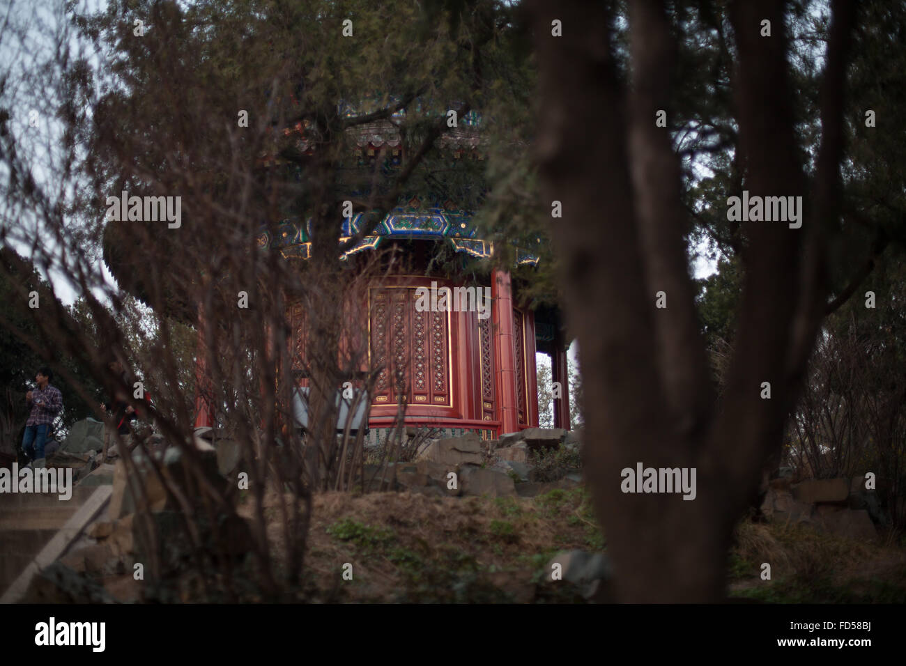 Temple Seen Through Trees Stock Photo - Alamy