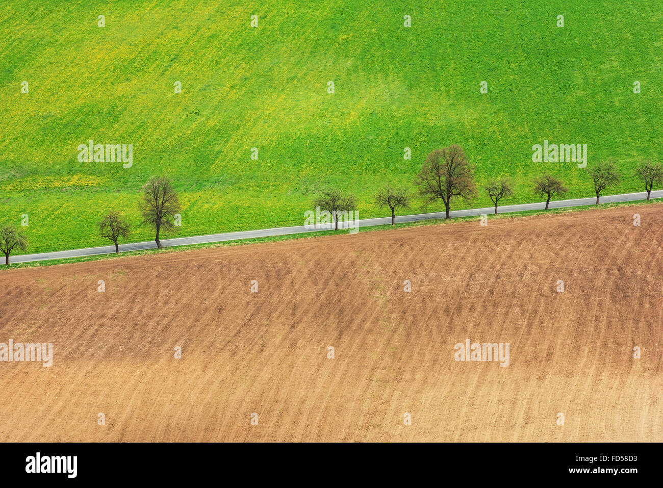Nature abstract background with green grass, ground, road and trees ...