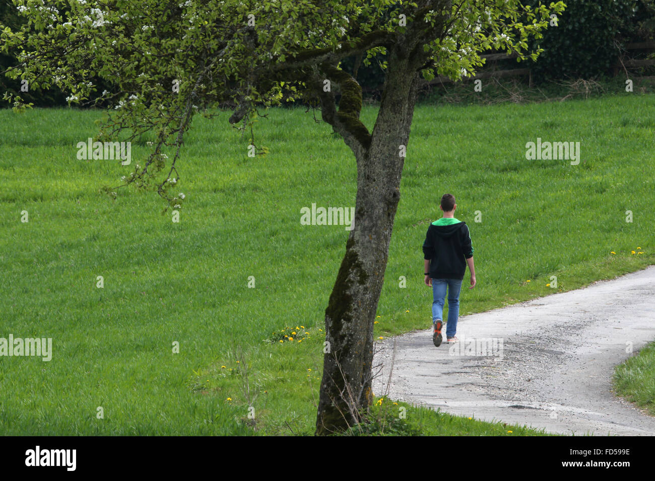 Boy walking alone on a path Stock Photo - Alamy