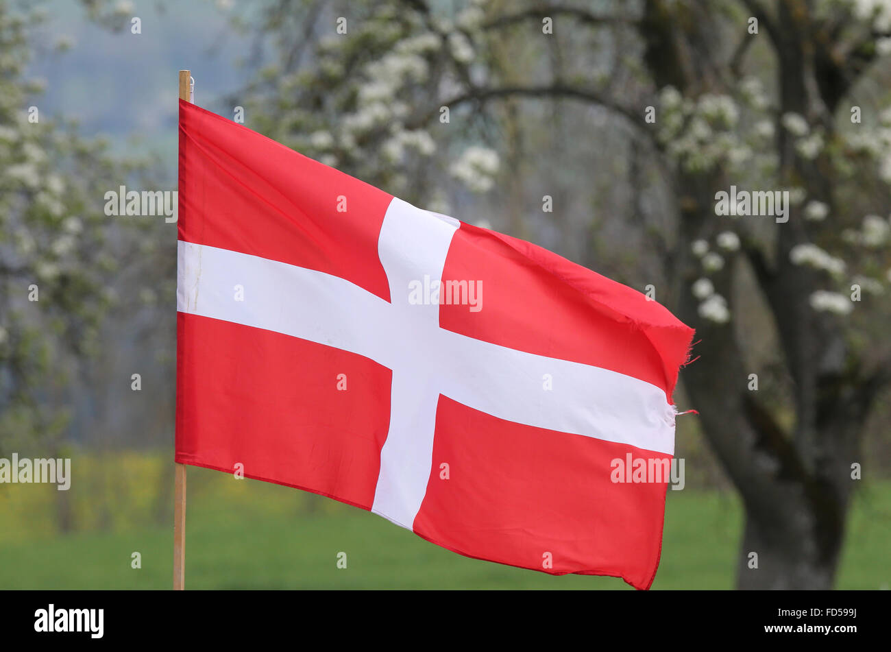 Savoy cross hi-res stock photography and images - Alamy