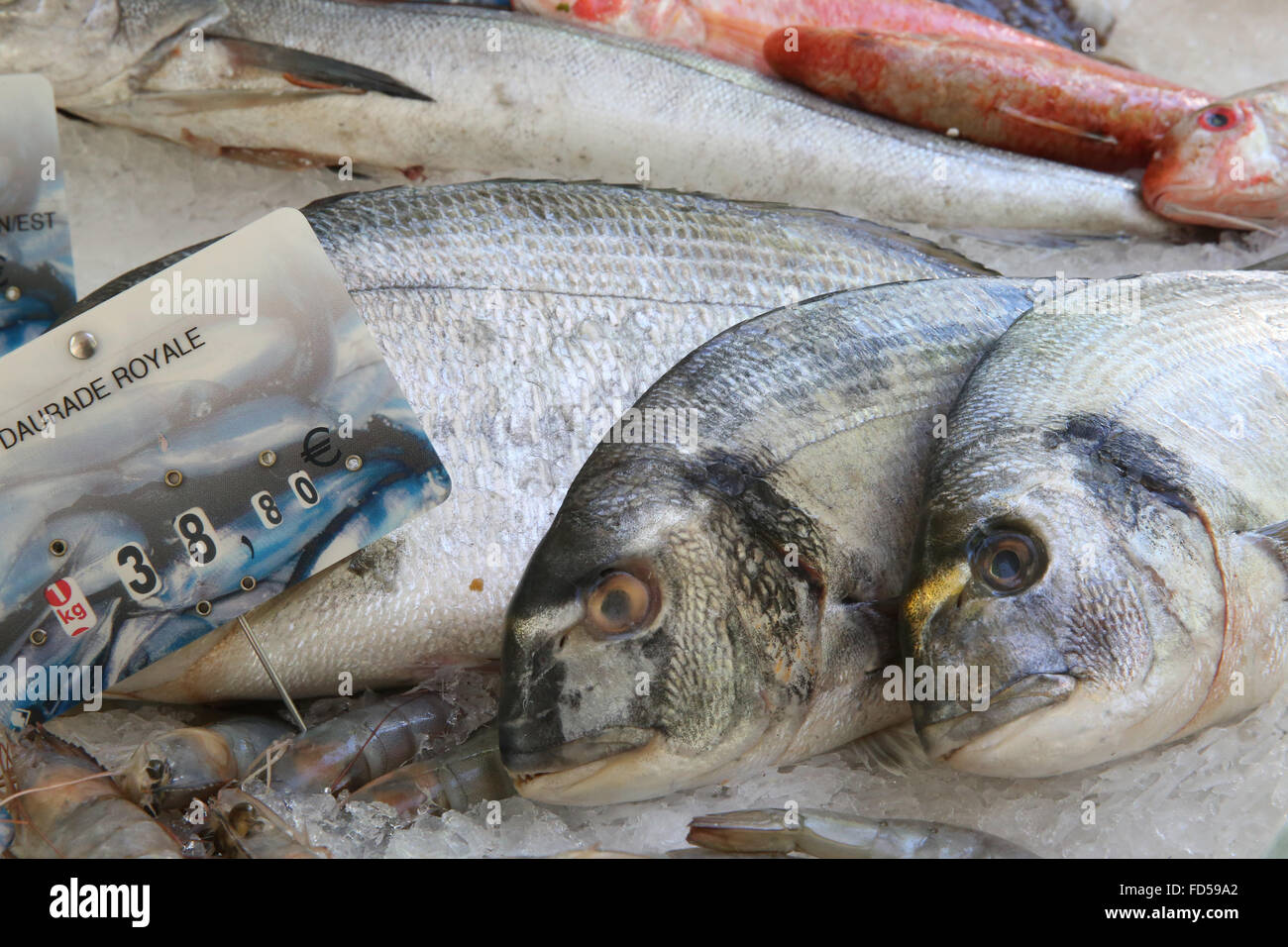 Daurade hi-res stock photography and images - Alamy