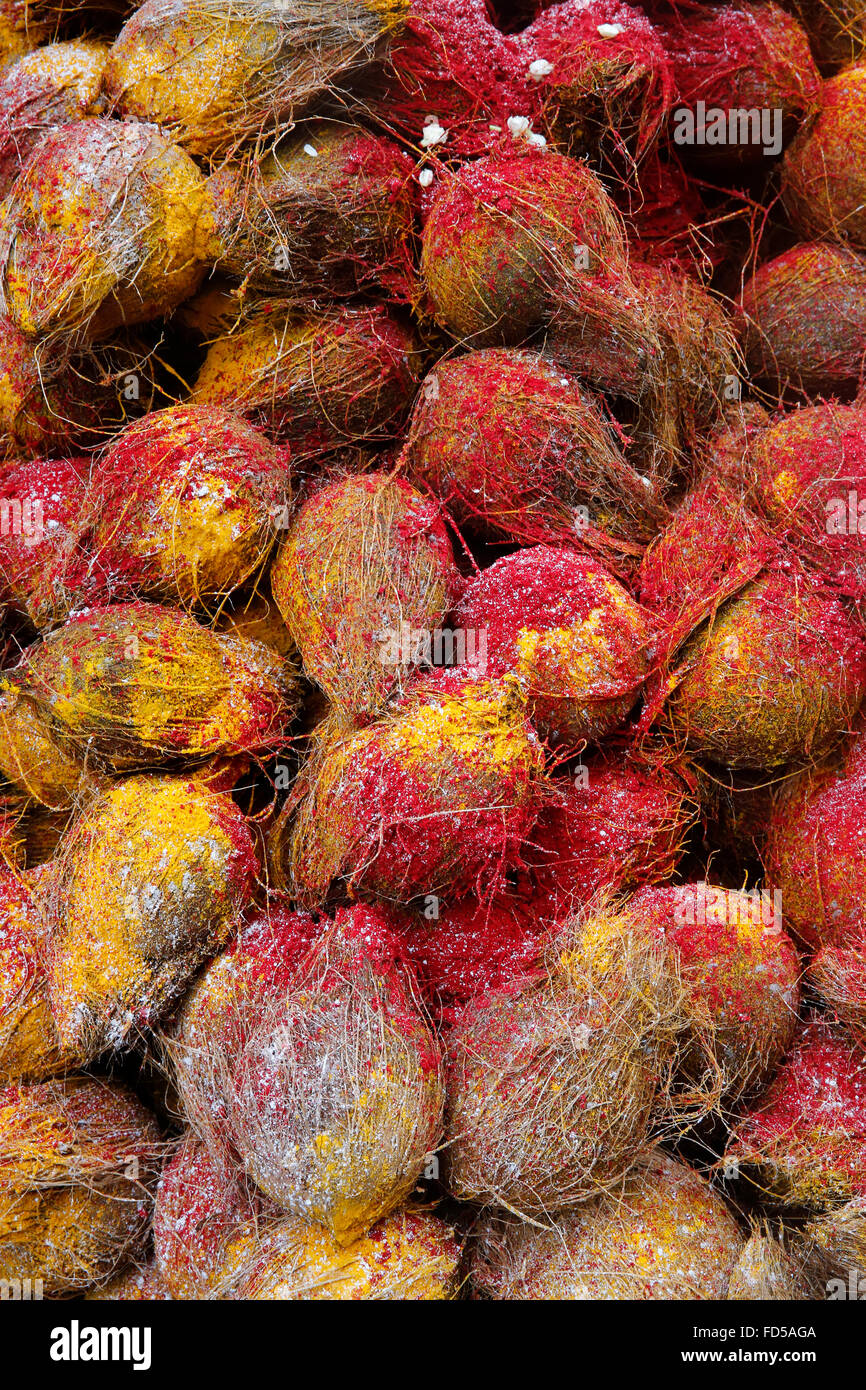 Ganesh festival. Coconut offerings Stock Photo - Alamy