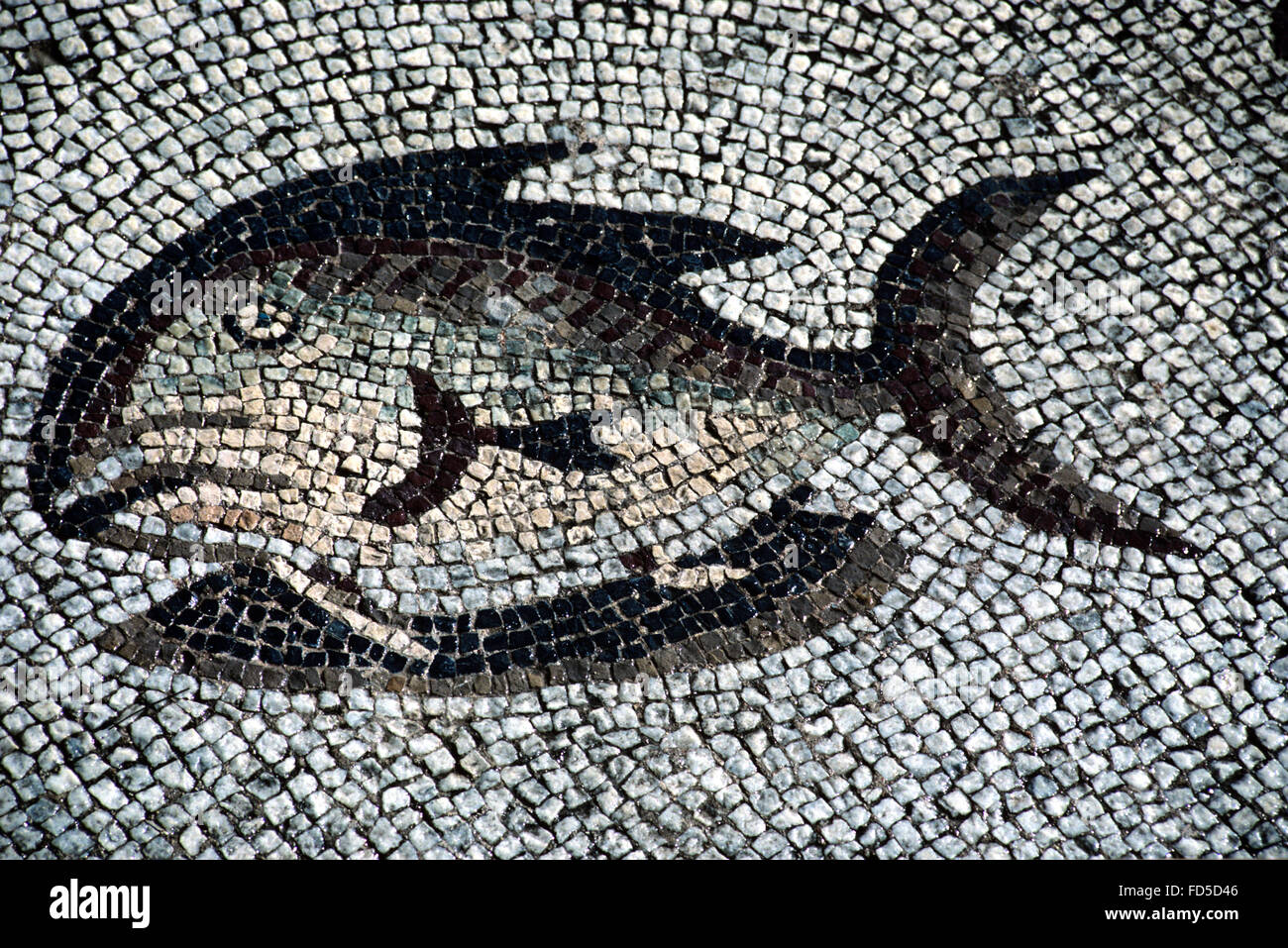 Roman mosaic fish hi-res stock photography and images - Alamy