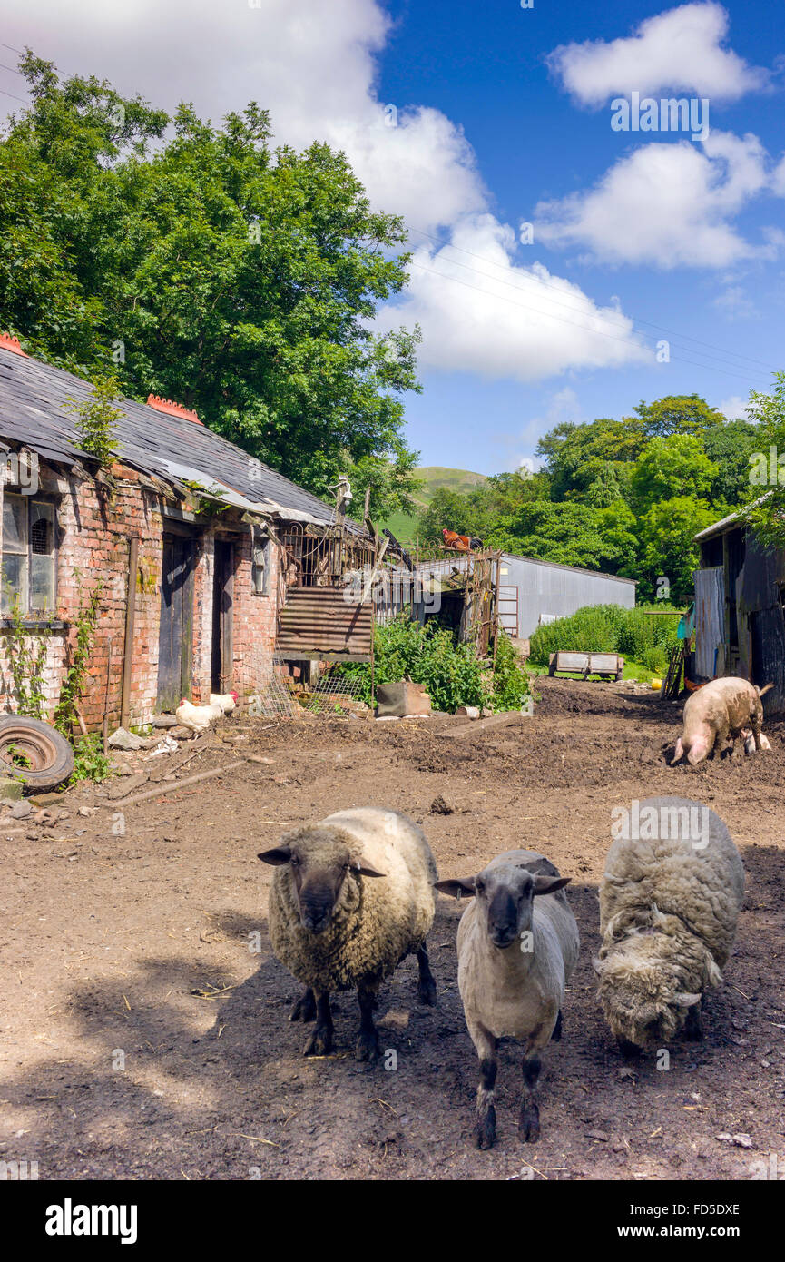 Untidy farmyard hi-res stock photography and images - Alamy