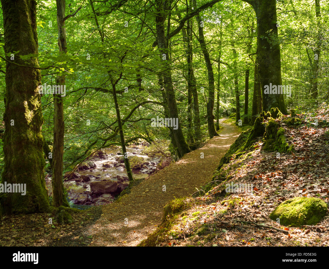 Riverside foootpath hi-res stock photography and images - Alamy