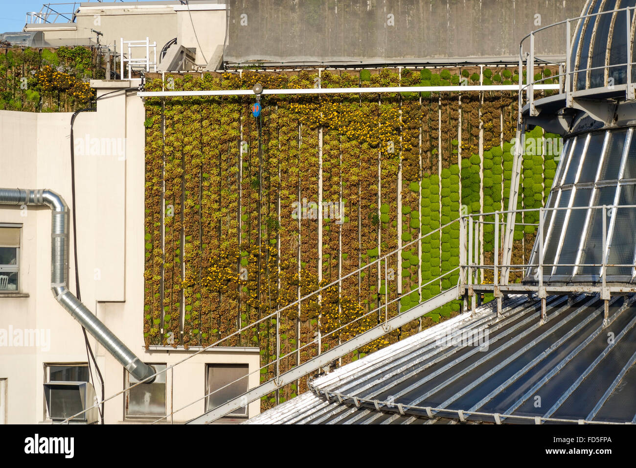 Galeries lafayette haussmann hi-res stock photography and images - Alamy