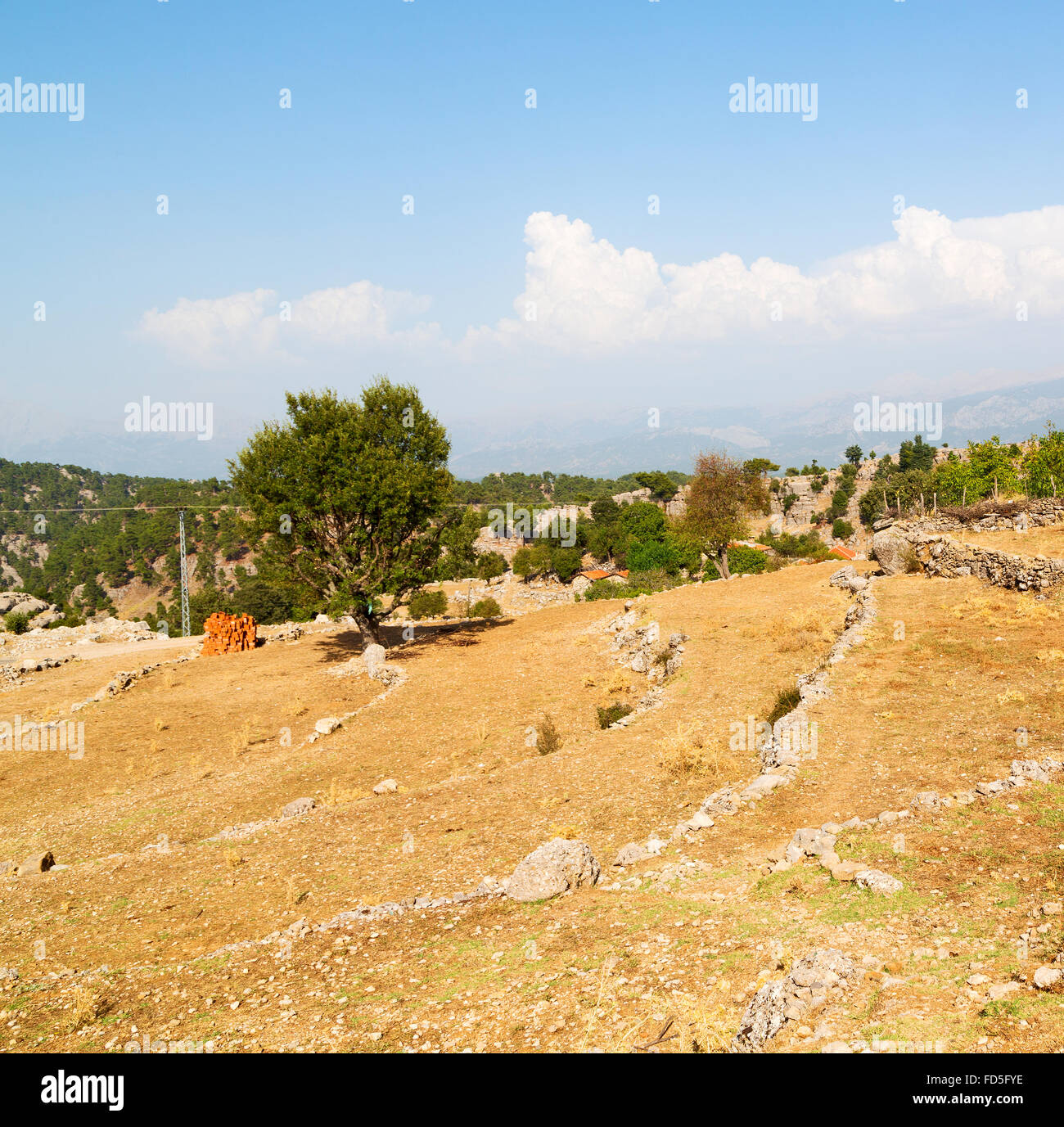 the hill in asia turkey selge old architecture ruins and nature Stock ...
